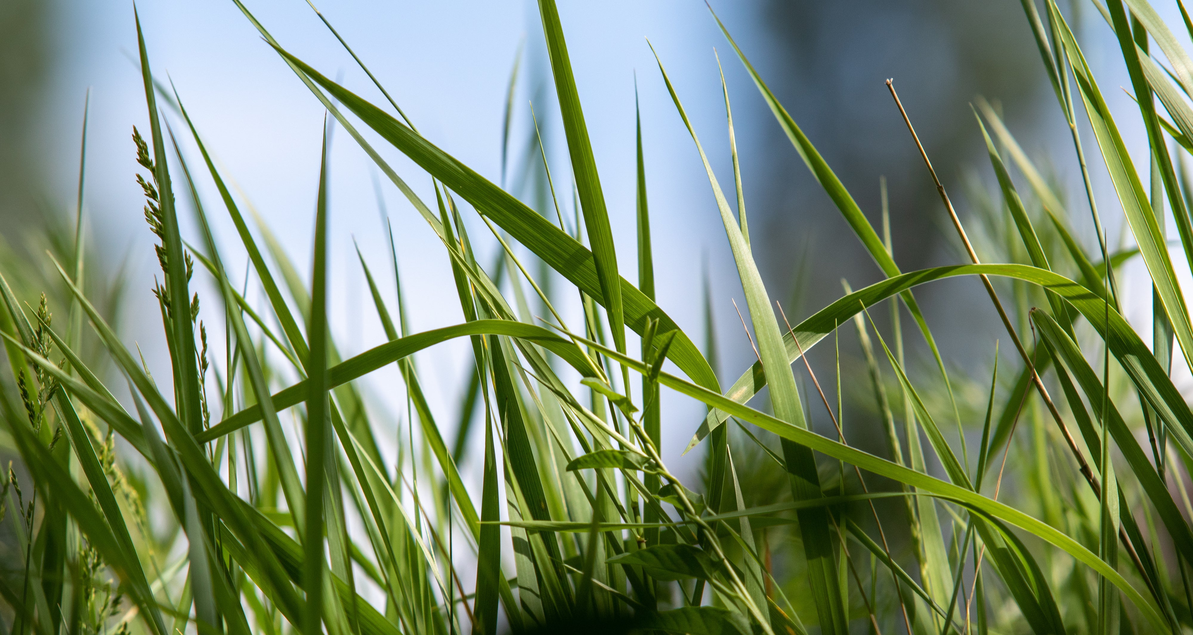 Hydroponic Ferts. & Nutrients – GrowItNaturally.com